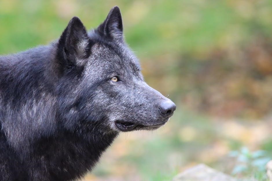 Dive into 'Wolf Hollow' - Read the PDF Online Now!